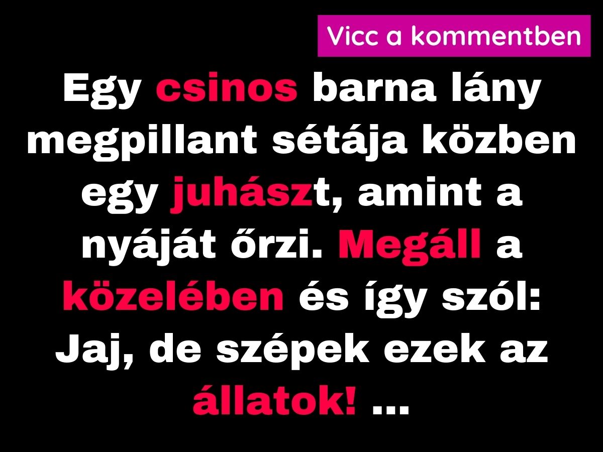 Egy csinos barna találgatja, vajon hány birkája van a juhásznak? (Vicc ... Egy csinos barna találgatja, vajon hány birkája van a juhásznak? (Vicc ...