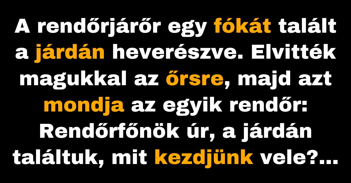 A rendőrjárőr egy fókát talált a járdán (Vicc) | Skubizó